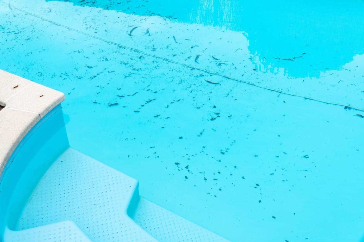 Identifying Black Algae in Your Swimming Pool and Eliminating Them ...